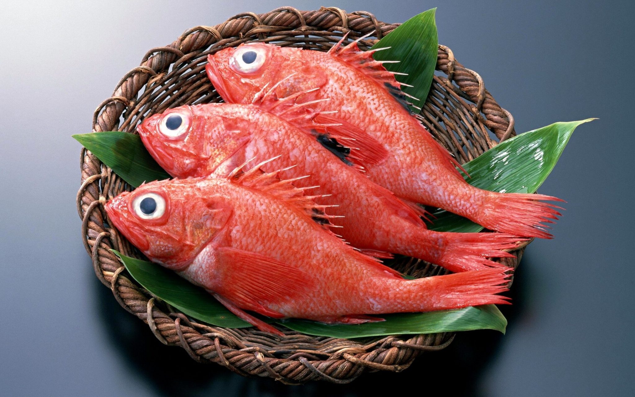 Cá Kinki - Món ăn quý hiếm thuộc hàng đắt đỏ tại Nhật Bản 2023