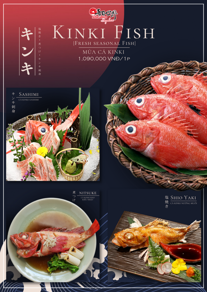 Cá Kinki - Món ăn quý hiếm thuộc hàng đắt đỏ tại Nhật Bản 2023